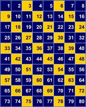 Exploring the 100 square