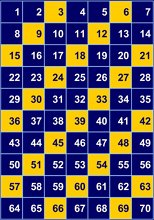 Exploring the 100 square