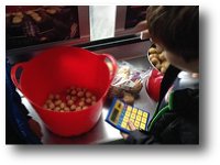 Teaching maths in context - using a load of potatoes